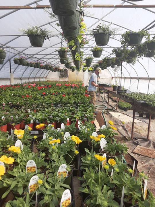 Huyck Farms - Paducah, KY