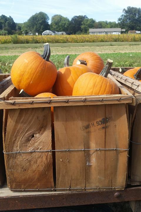 Huyck Farms - Paducah, KY